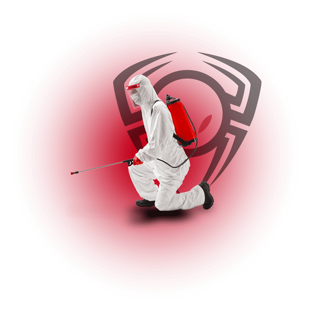 Pest Control Services Rock Hill, SC | Modern Pest Control Inc.