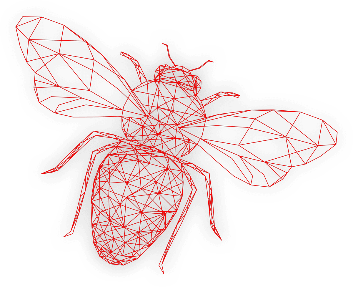 Bee Extermination | Rock Hill, SC | Modern Pest Control Inc.