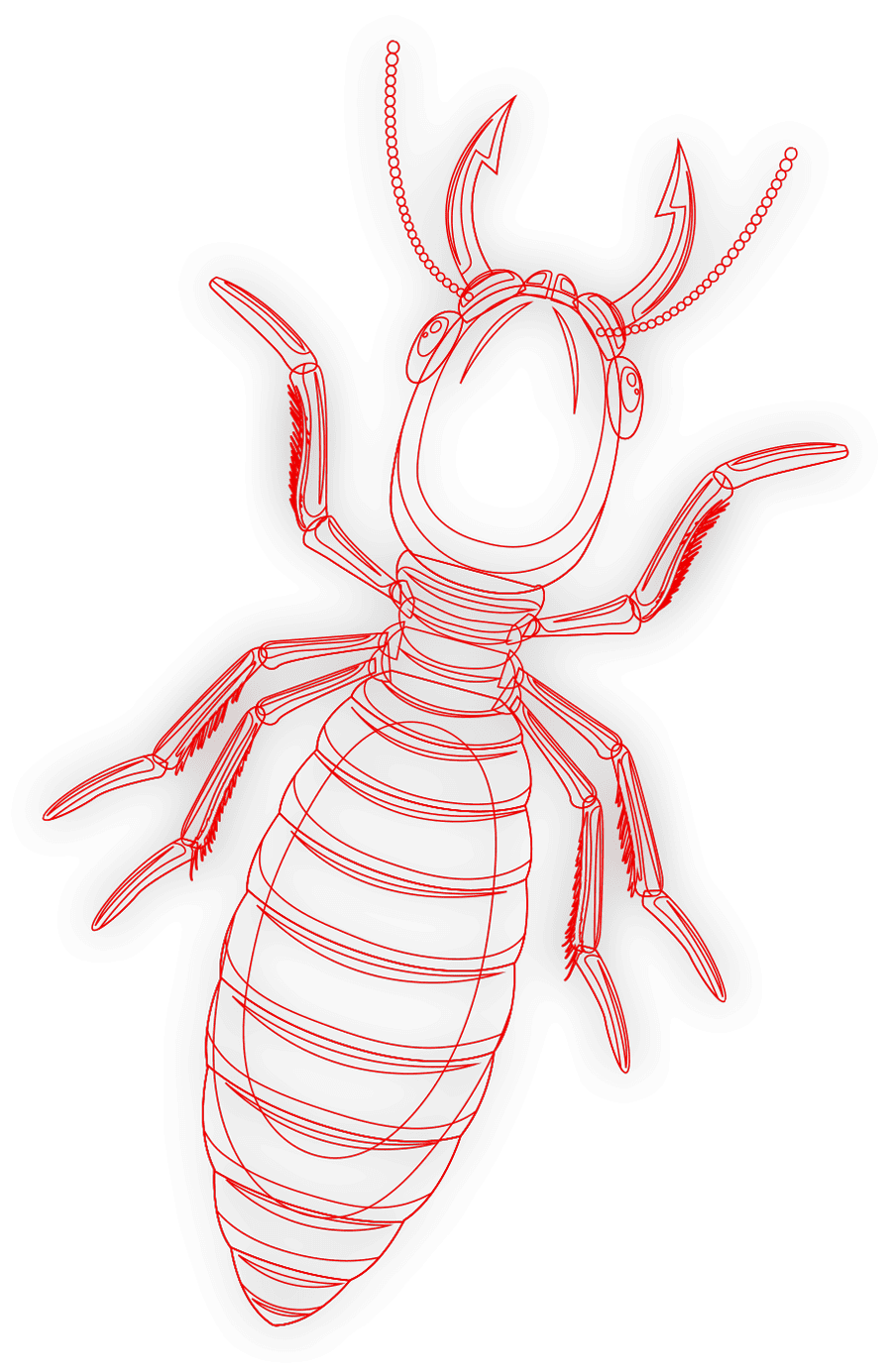 Termite Extermination | Rock Hill, SC | Modern Pest Control Inc.
